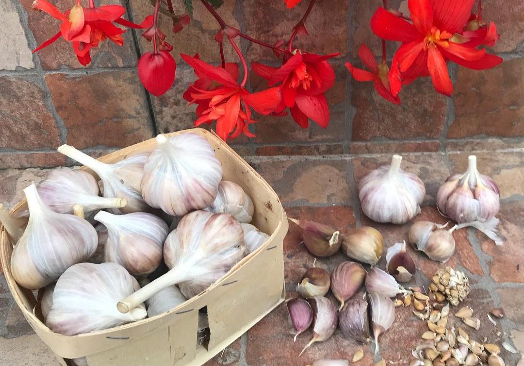 Где пройдут продуктовые ярмарки в Киеве с 5 по 7 сентября 2018 года - Киев Vgorode.ua