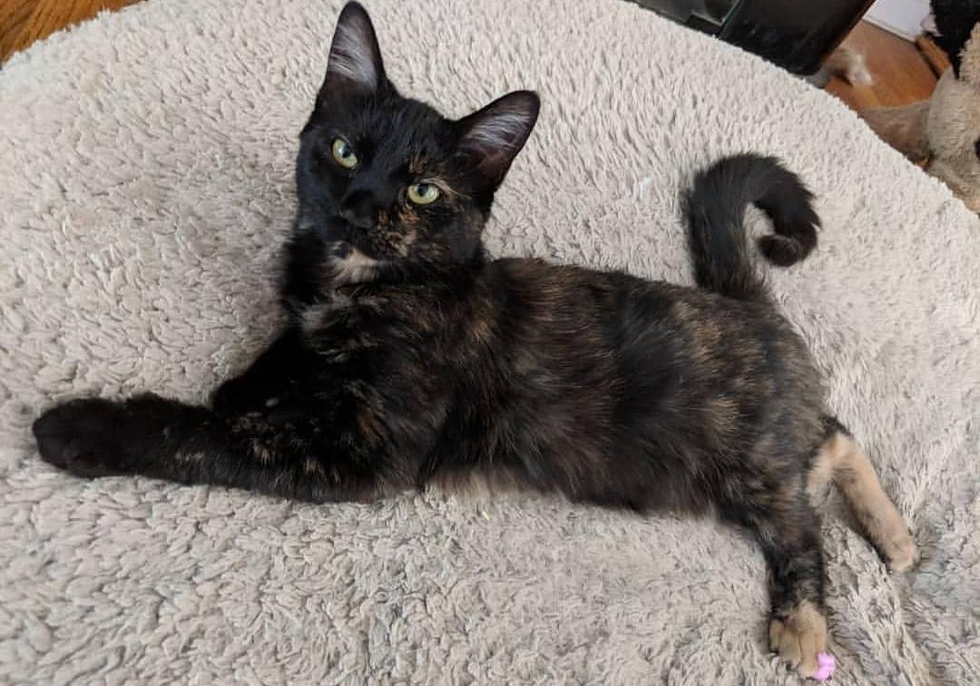 Какой сегодня праздник: 11 сентября 2018 - Киев Vgorode.ua