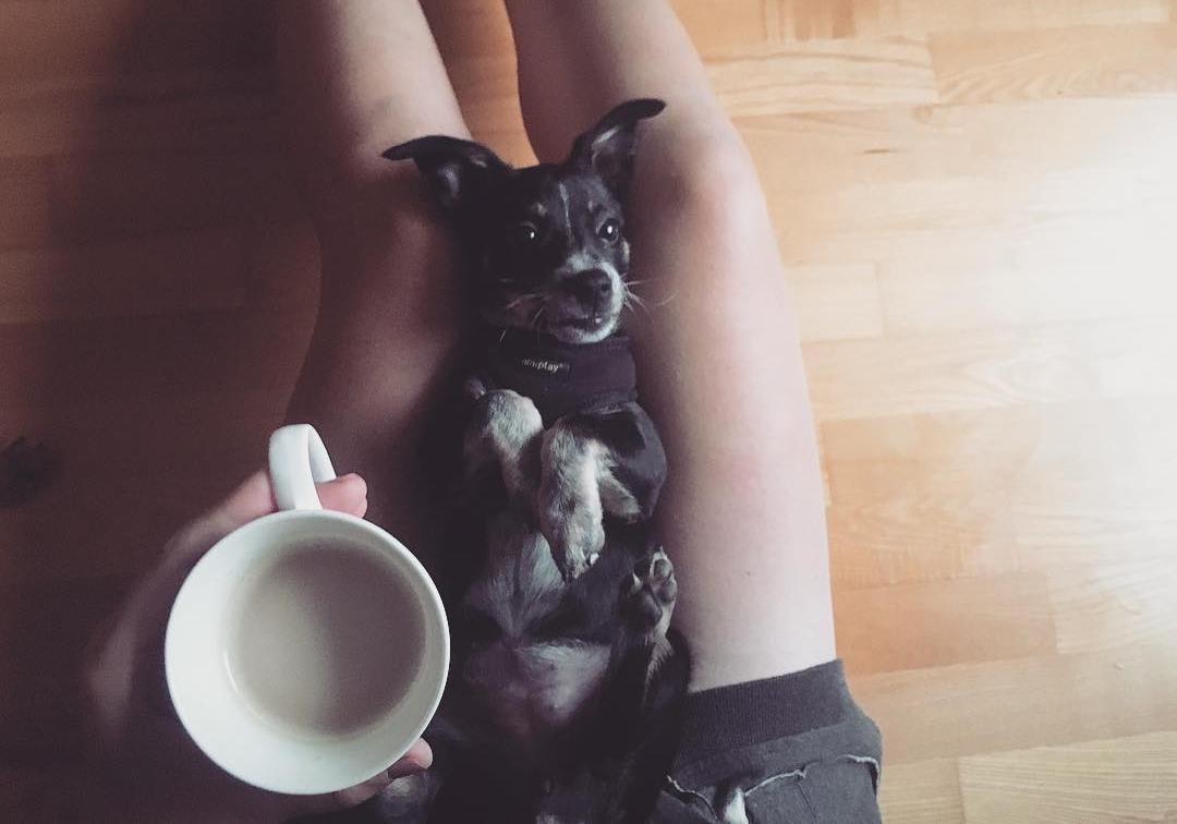 Какой сегодня праздник: 25 сентября 2018 - Киев Vgorode.ua