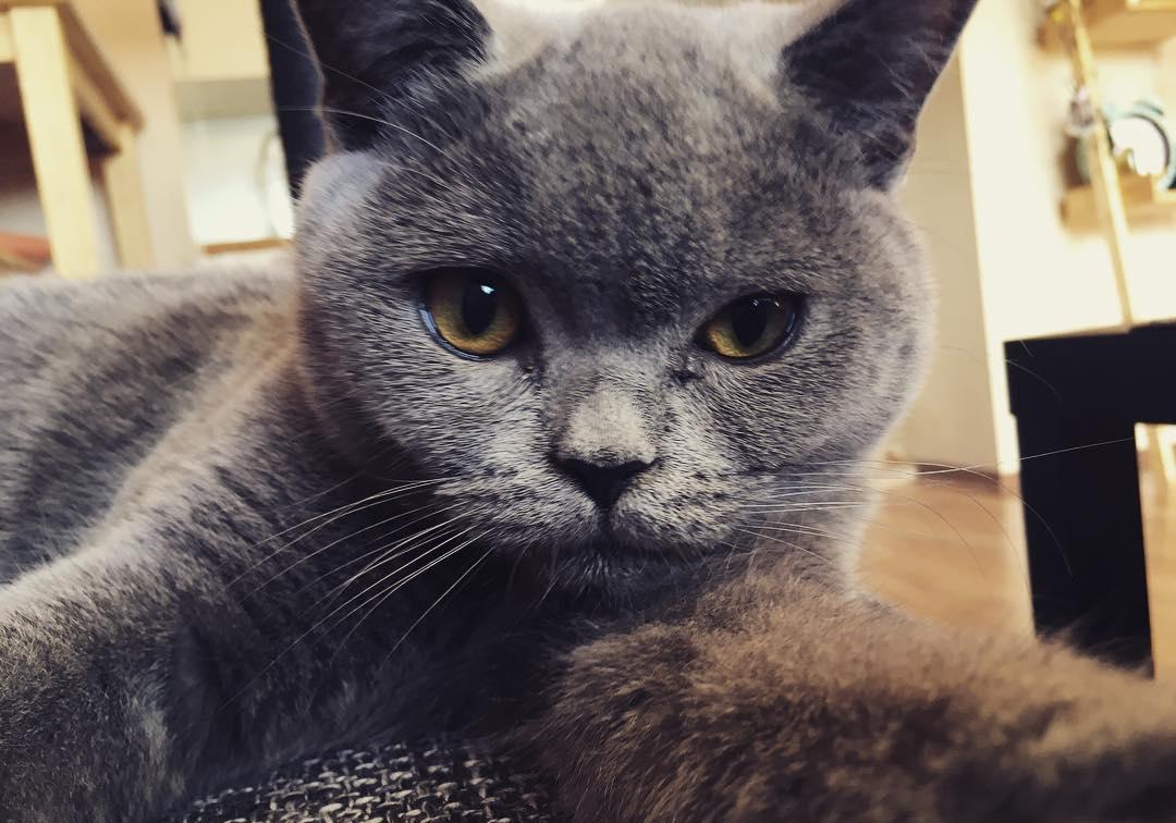 Какой сегодня праздник: 8 октября 2018 - Киев Vgorode.ua