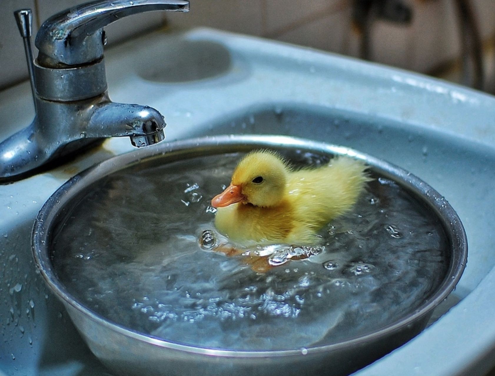 Отключение воды в Харькове 30 октября 2018 года: когда включат - Харьков Vgorode.ua