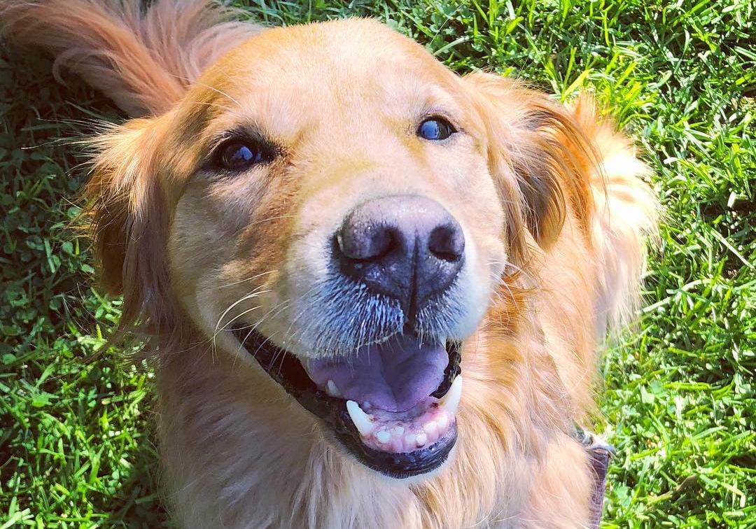 Какой сегодня праздник - 5 ноября 2018 : узнай о цунами и поздравь Афанасия - Киев Vgorode.ua