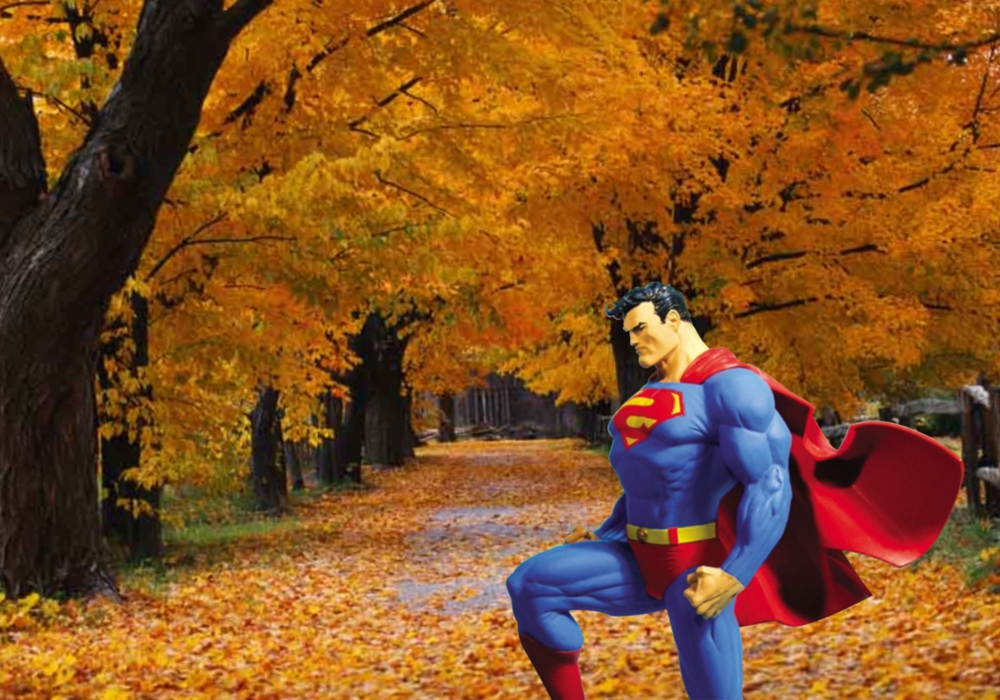 Куда пойти на выходных в Днепре 23-25 ноября 2018 года - Днепр Vgorode.ua