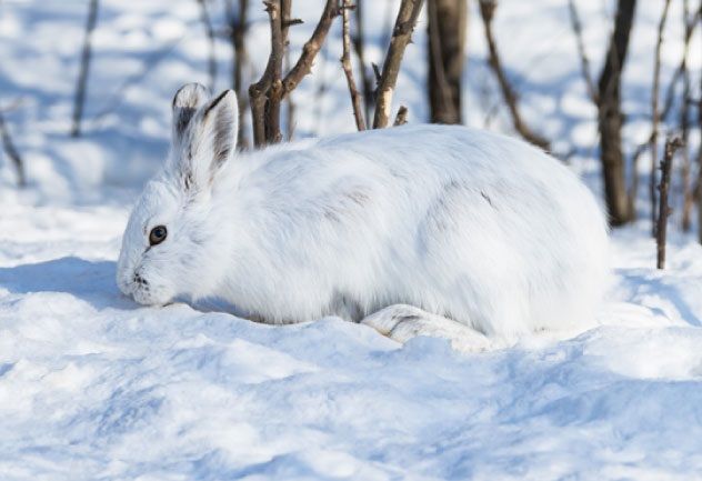 Какой сегодня праздник - 22 января 2019: поздравь Антонину и Захара ...