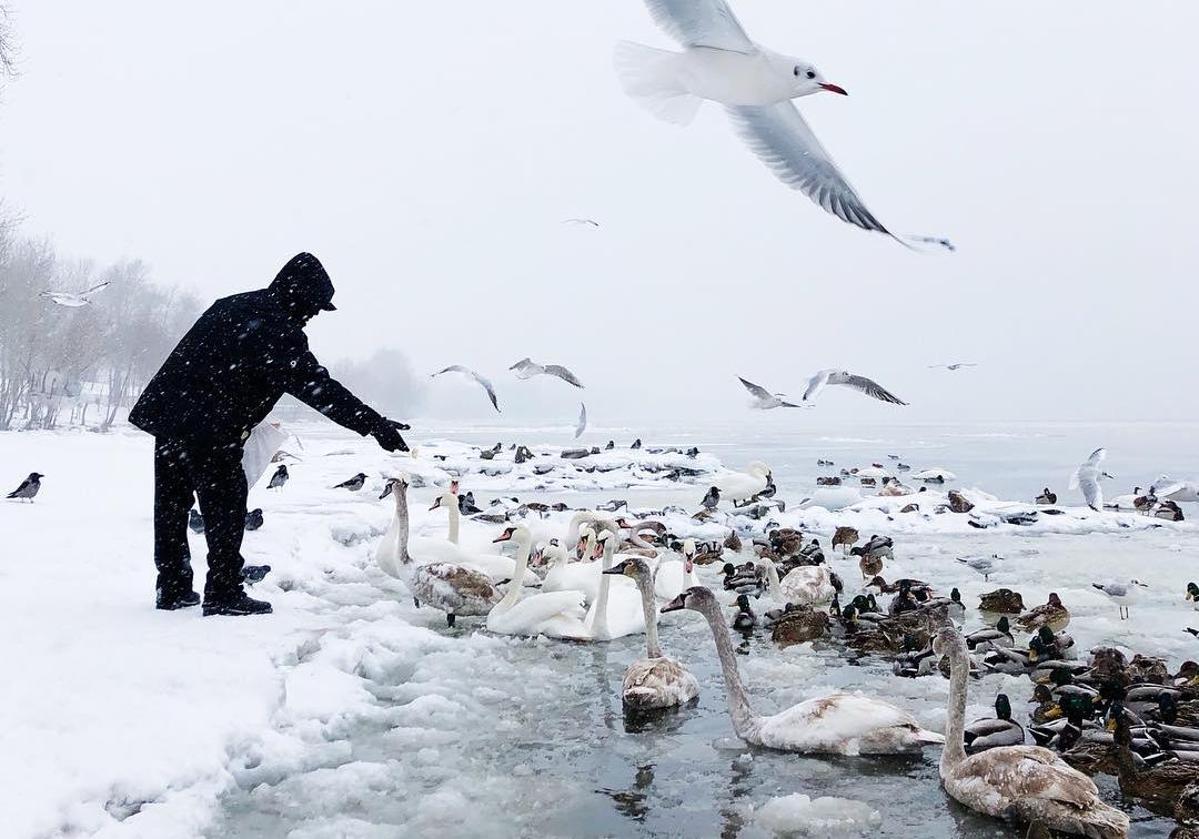 Куда пойти на выходных в Киеве: афиша мероприяитий на 2-3 февраля 2019 - Киев Vgorode.ua
