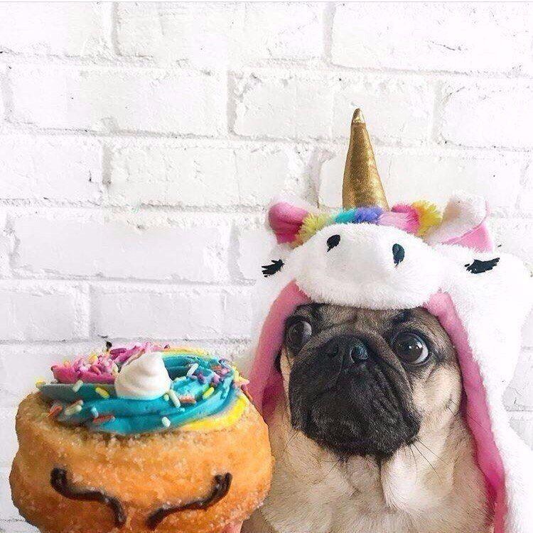 Куда пойти в Днепре на выходных 2-3 февраля 2019 года - Днепр Vgorode.ua