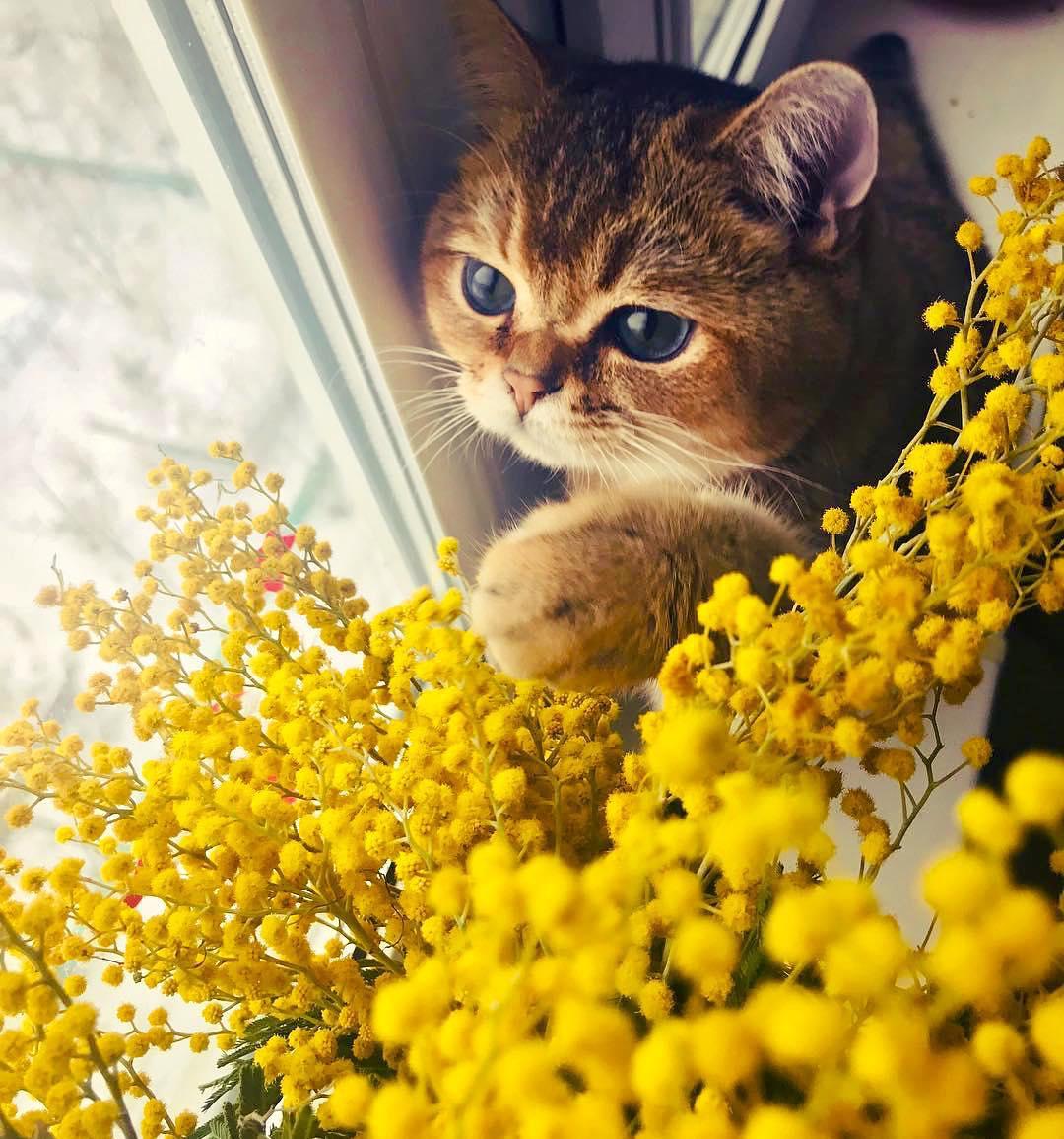 Прогноз погоды в Одессе и области на 8 марта 2019 года - Одесса Vgorode.ua