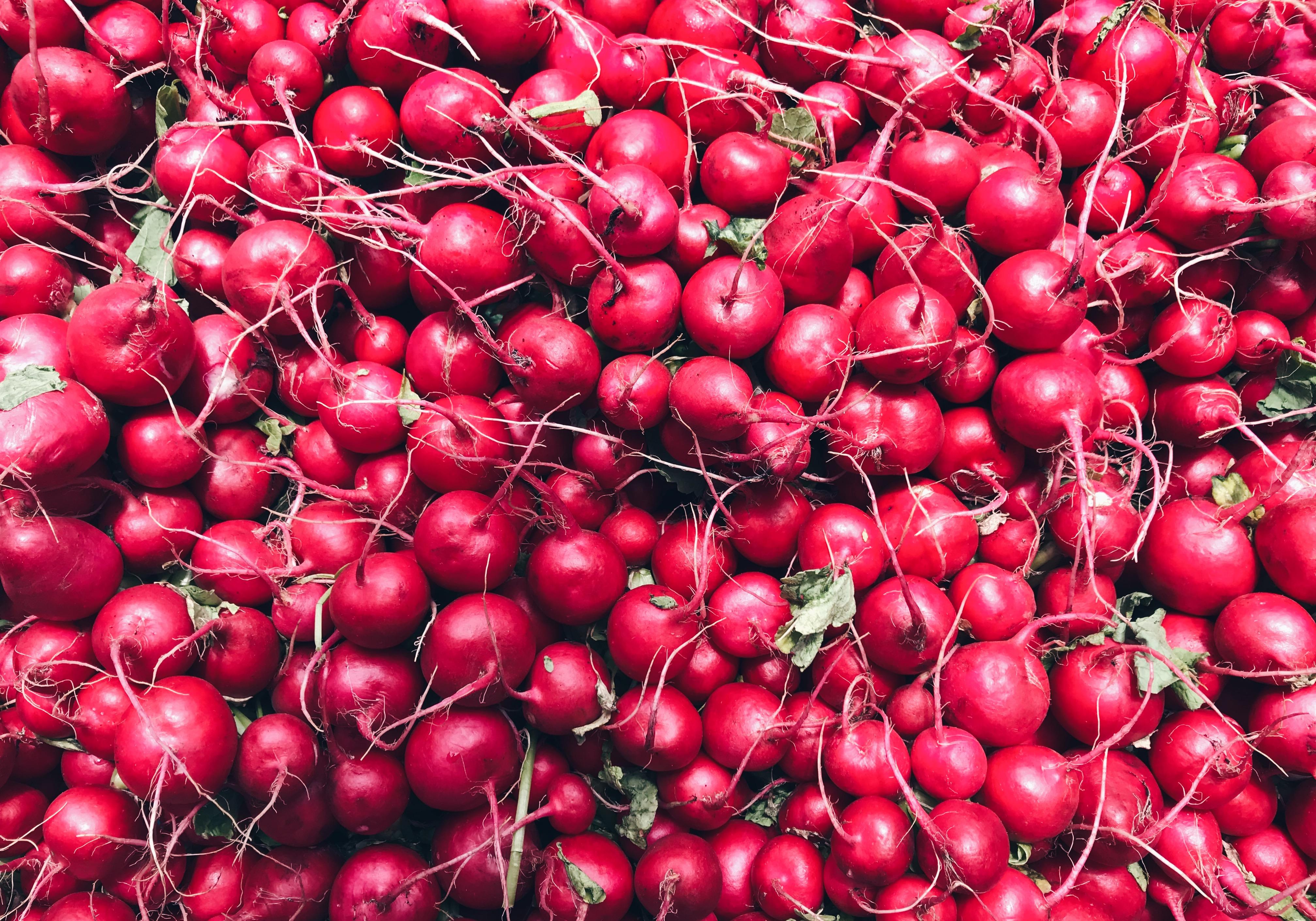 Продуктовые ярмарки в Киеве: адреса и расписание на неделю 19-22 марта ...