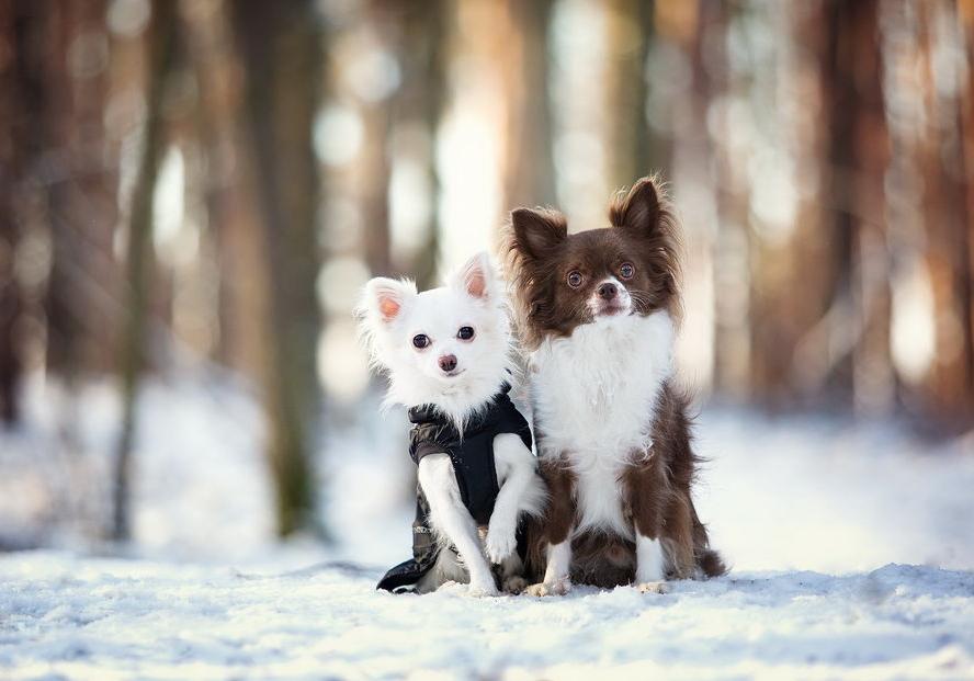 Какой сегодня праздник - 27 марта февраля 2019: защити водные ресурсы и поздравь Афанасия - Киев ...