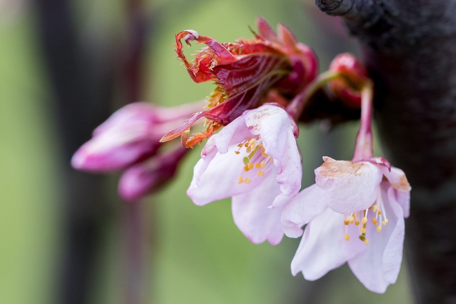Прогноз погоды в Одессе сегодня, 28 марта 2019 года - Одесса Vgorode.ua