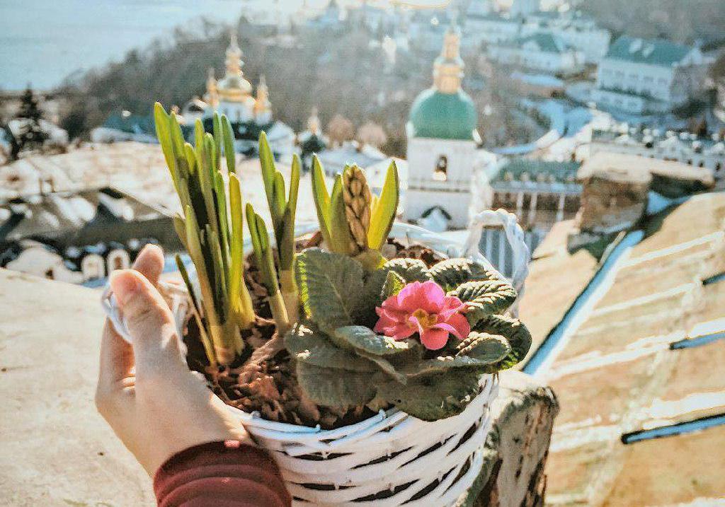 Куда пойти в Киеве на неделе: афиша мероприятий 8-12 апреля 2019 - Киев Vgorode.ua