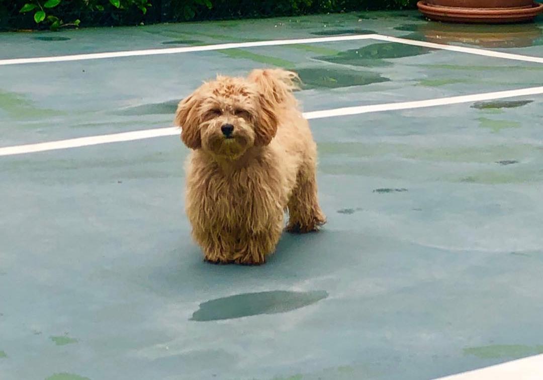 Какой сегодня праздник - 14 мая 2019: смотри европейское кино и поздравь Нину - Киев Vgorode.ua