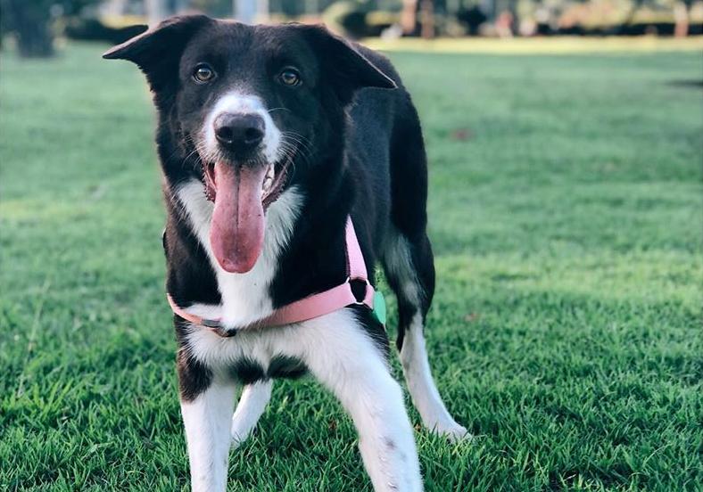 Какой сегодня праздник - 2 июля 2019: поздравь уфолога Ваню - Киев Vgorode.ua