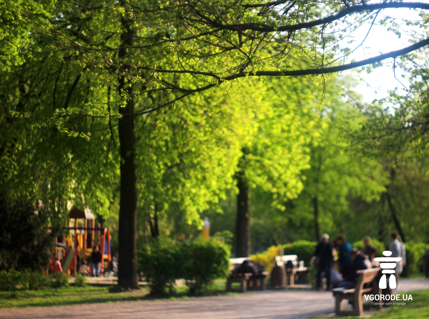 В 2019-м году в Киеве после обновления открыли 24 сквера и 2 парка - Киев Vgorode.ua