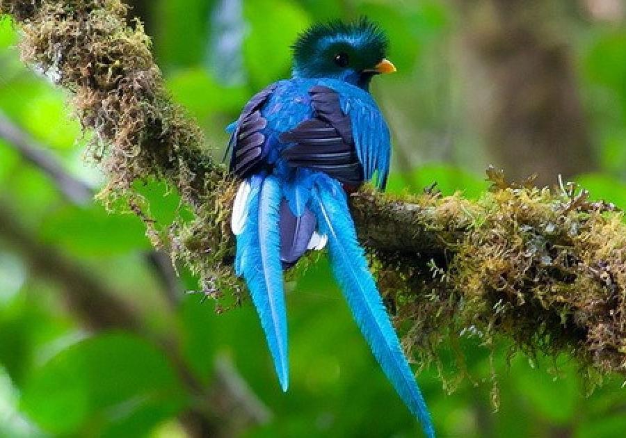 Какой сегодня праздник - 28 августа 2019: начни пост и поздравь Герасима - Киев Vgorode.ua