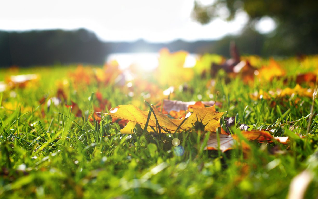 Прогноз погоды в Одессе на сегодня, 16 сентября 2019 года - Одесса Vgorode.ua