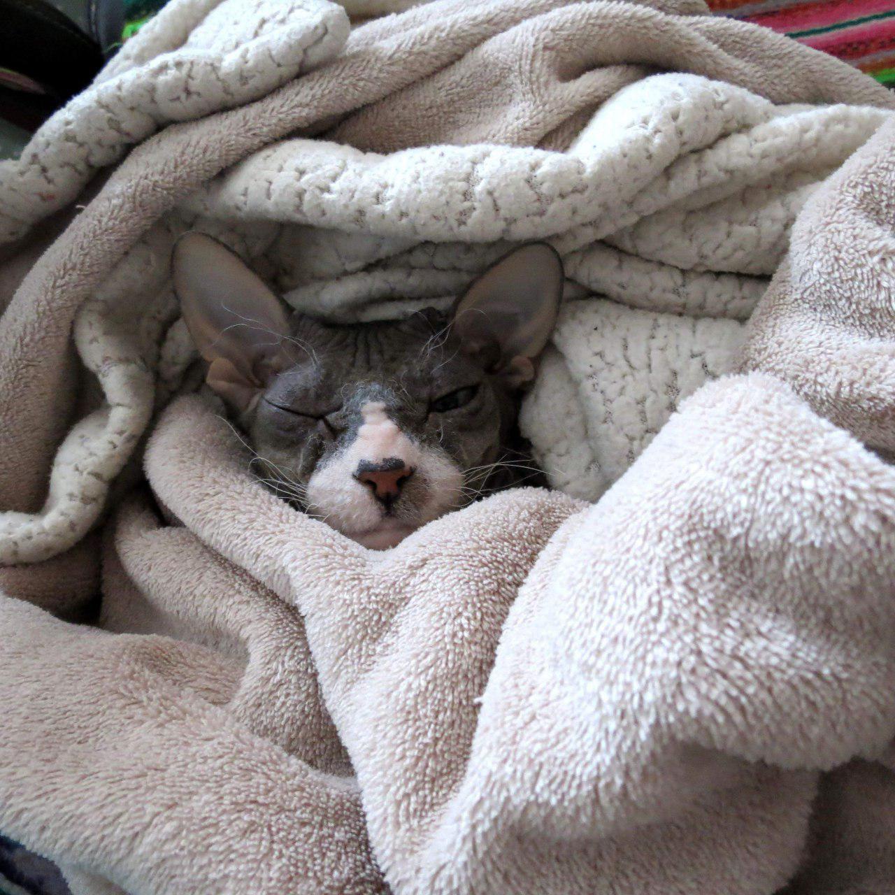 График и адреса: когда включат отопление в Харькове в 2019 году - Харьков Vgorode.ua