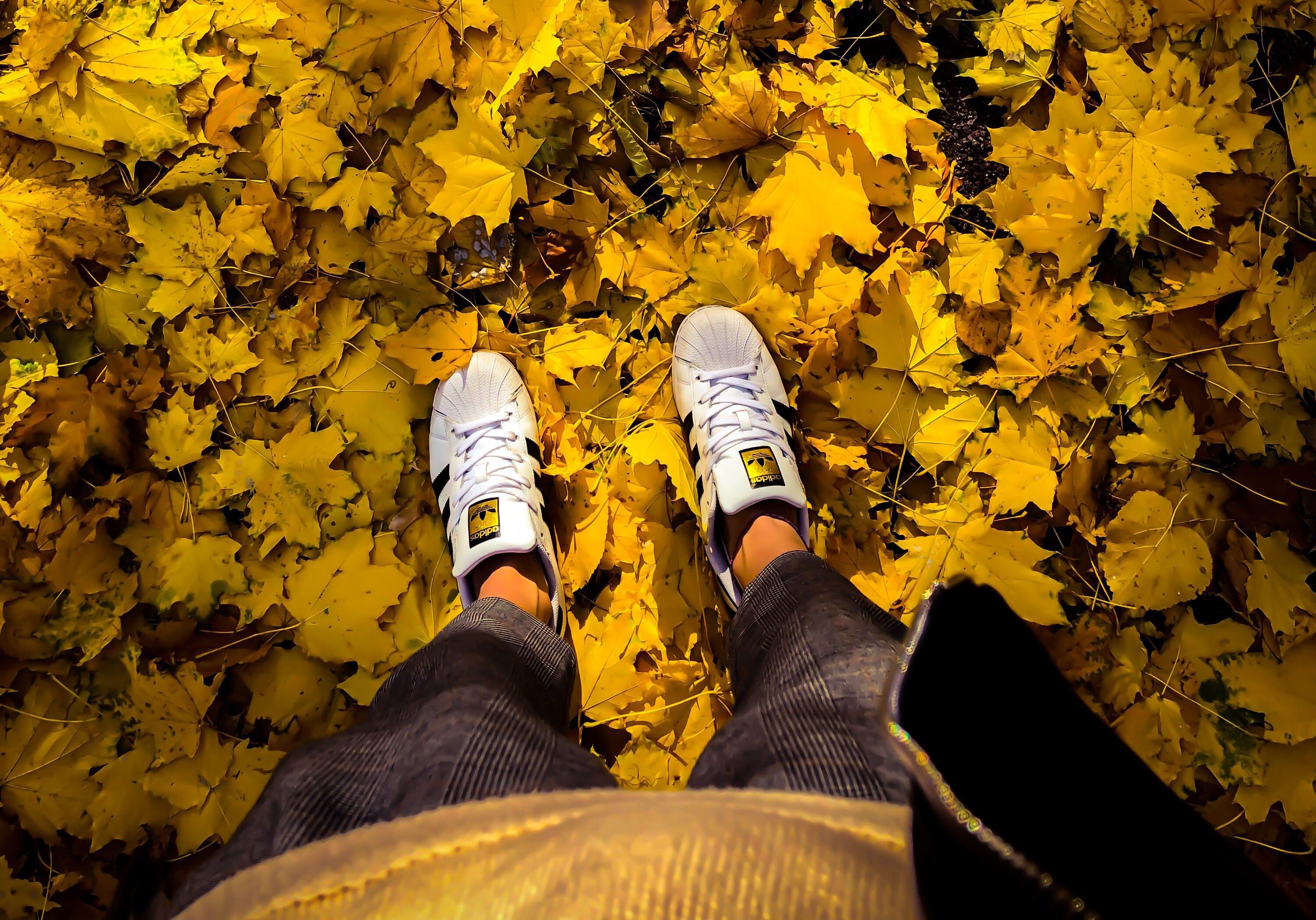 Прогноз погоды в Одессе на 12-13 октября 2019 года - Одесса Vgorode.ua