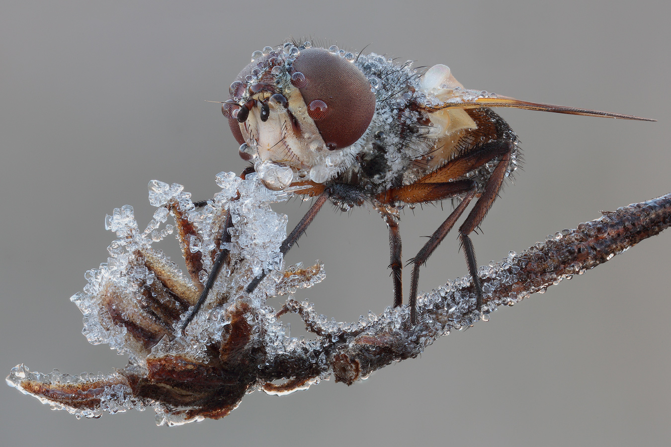Прогноз погоды в Одессе на сегодня, 22 ноября 2019 года - Одесса Vgorode.ua