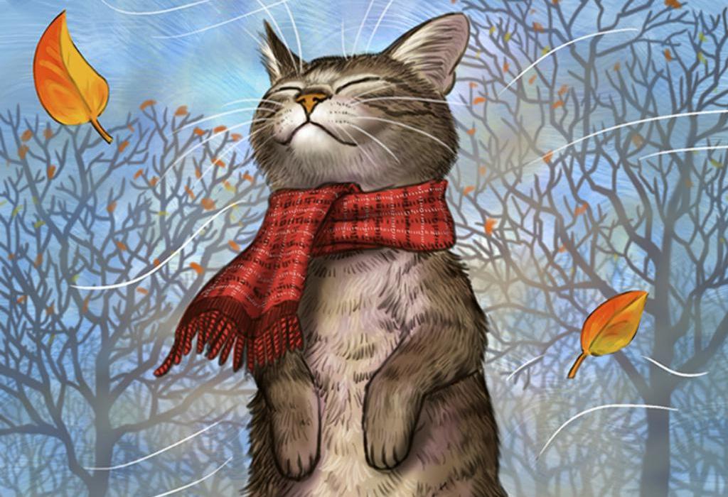 Штормовое предупреждение 22 ноября: изменится ли погода в Харькове на выходных - Харьков Vgorode.ua